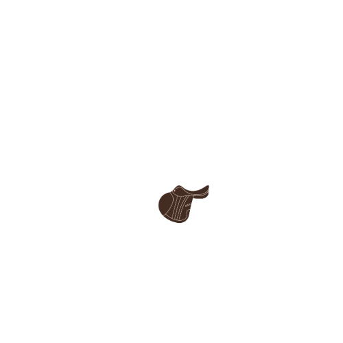 TACK BOX - Global Equestrian Marketplace